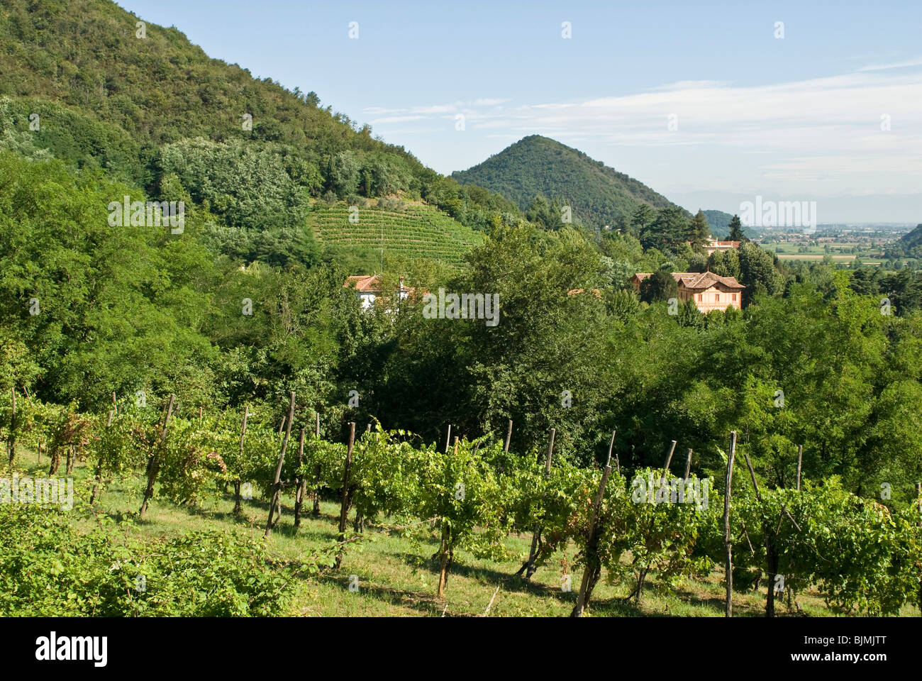 Colli euganei hi-res stock photography and images - Alamy