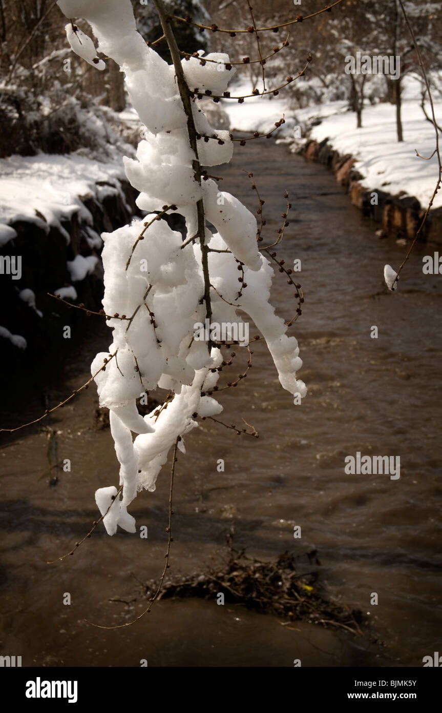 Melting tree hi-res stock photography and images - Alamy
