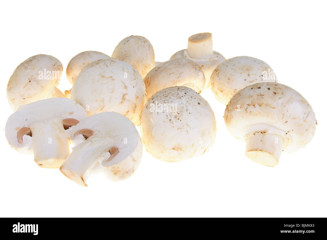 White mushrooms isolated on white background Stock Photo - Alamy
