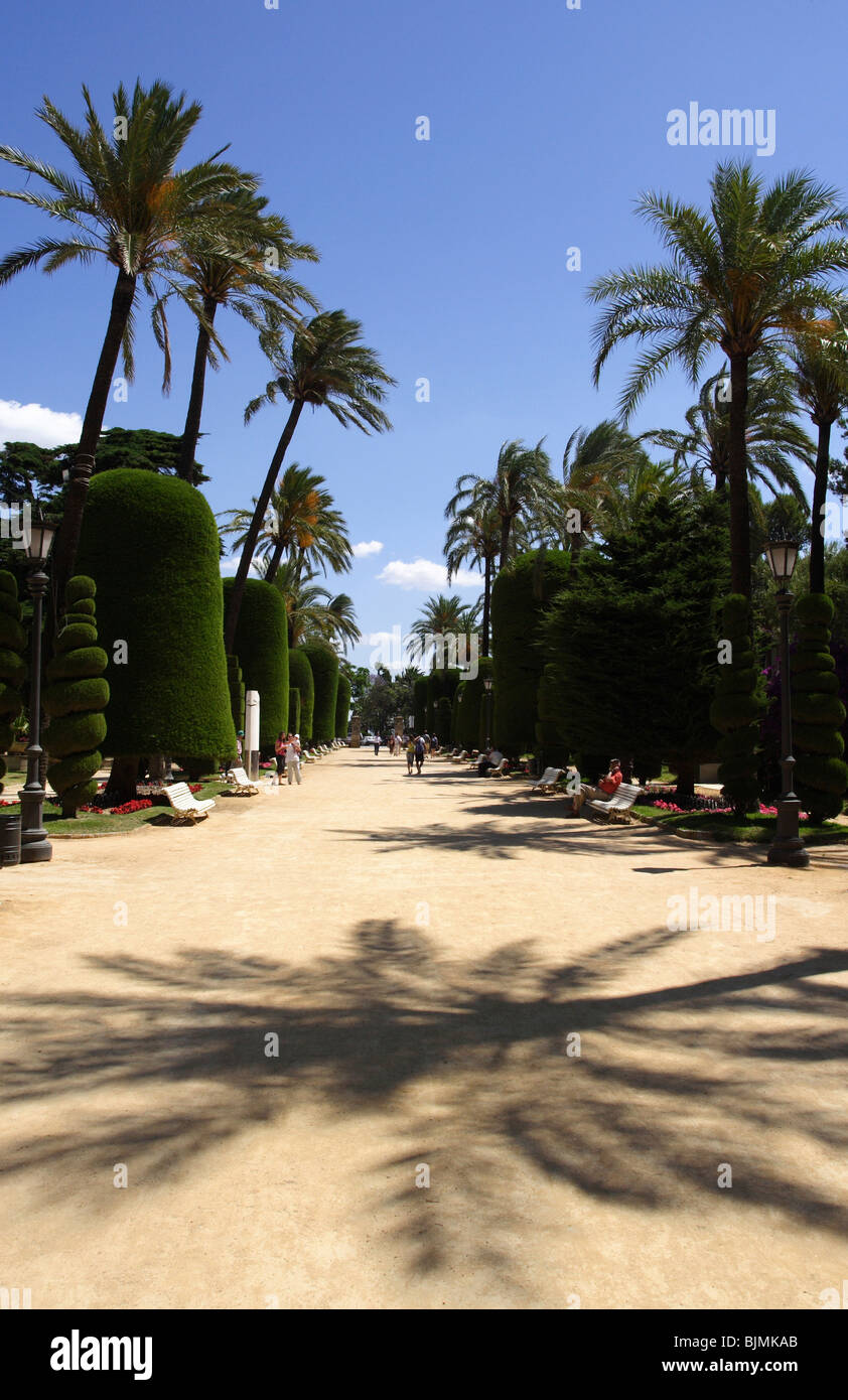 Parque Genoves, beautiful palm garden, Cadiz, Spain Stock Photo - Alamy