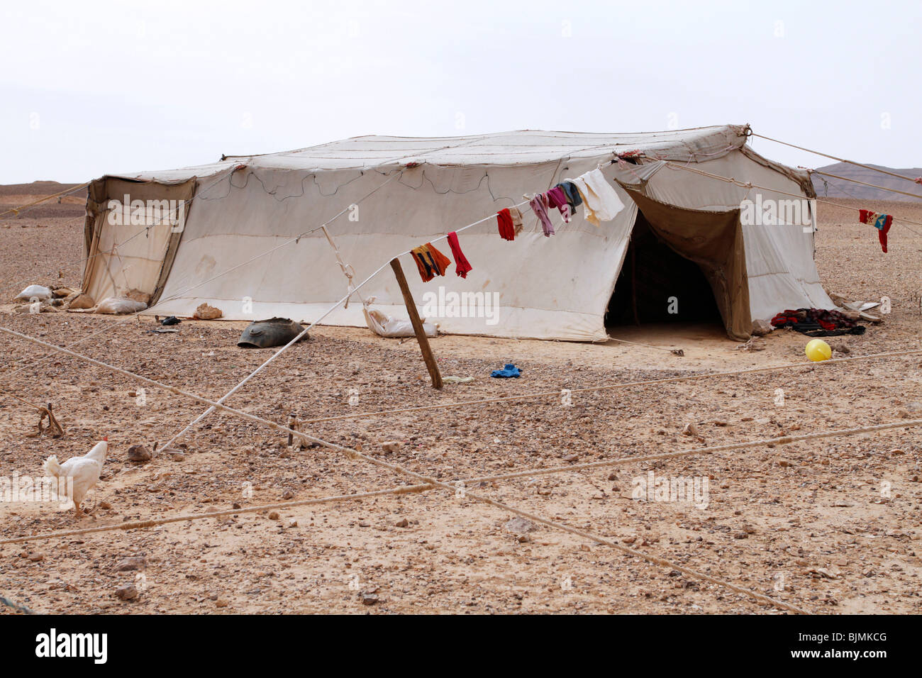 Bedouin tent in Syrian desert Stock Photo - Alamy