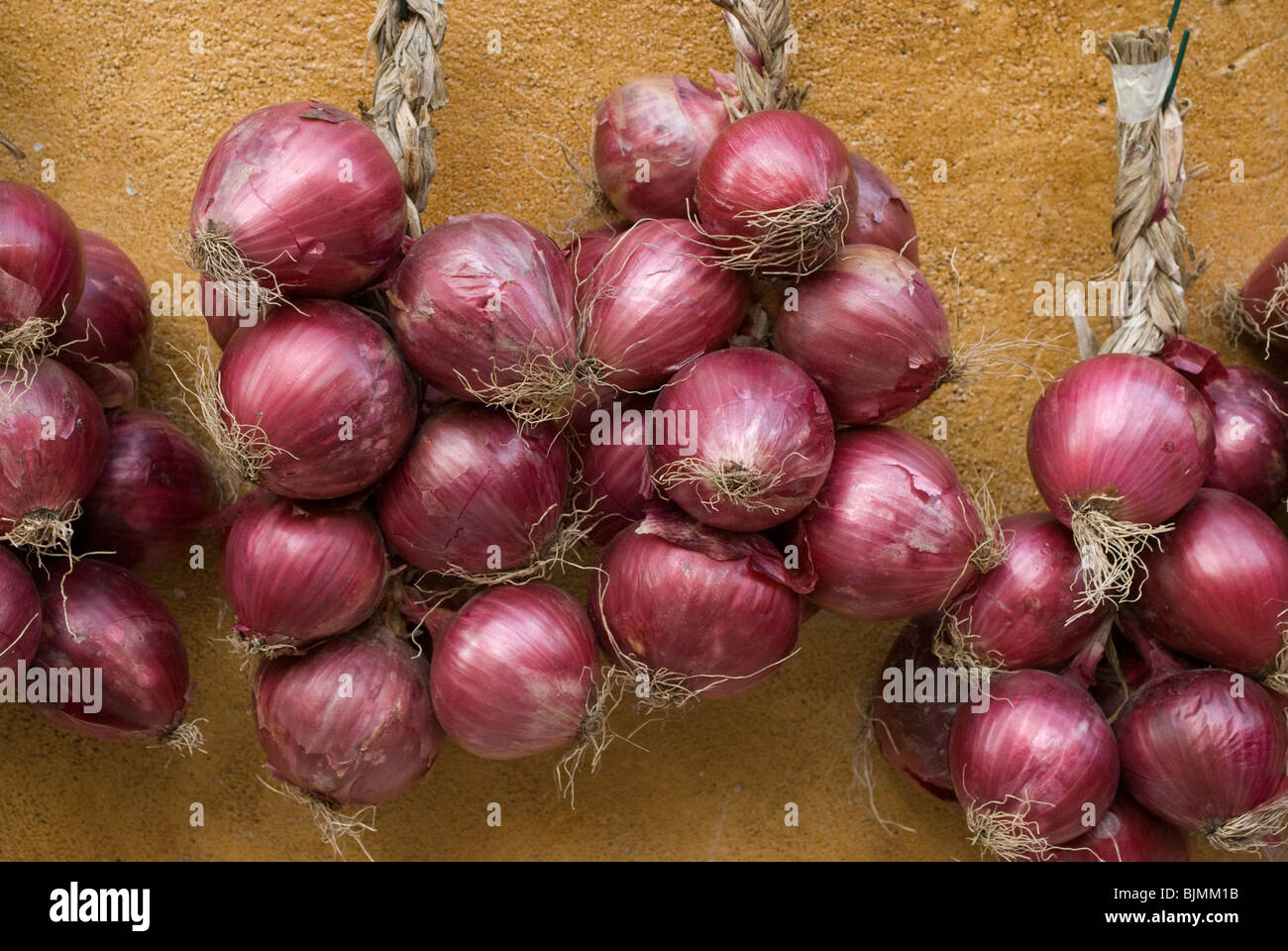 Rote zwiebeln hi-res stock photography and images - Alamy