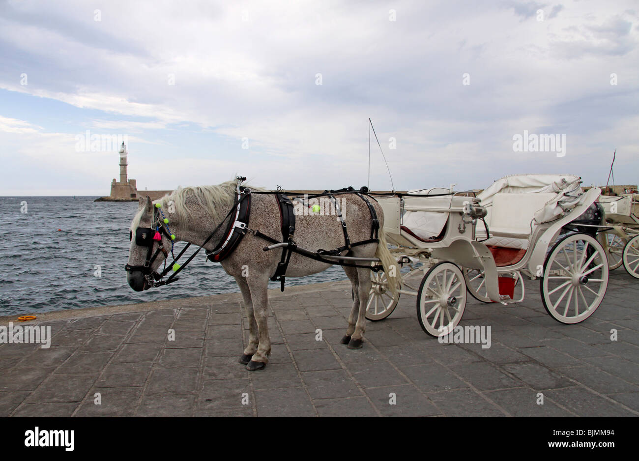 Mammals of crete hi-res stock photography and images - Alamy