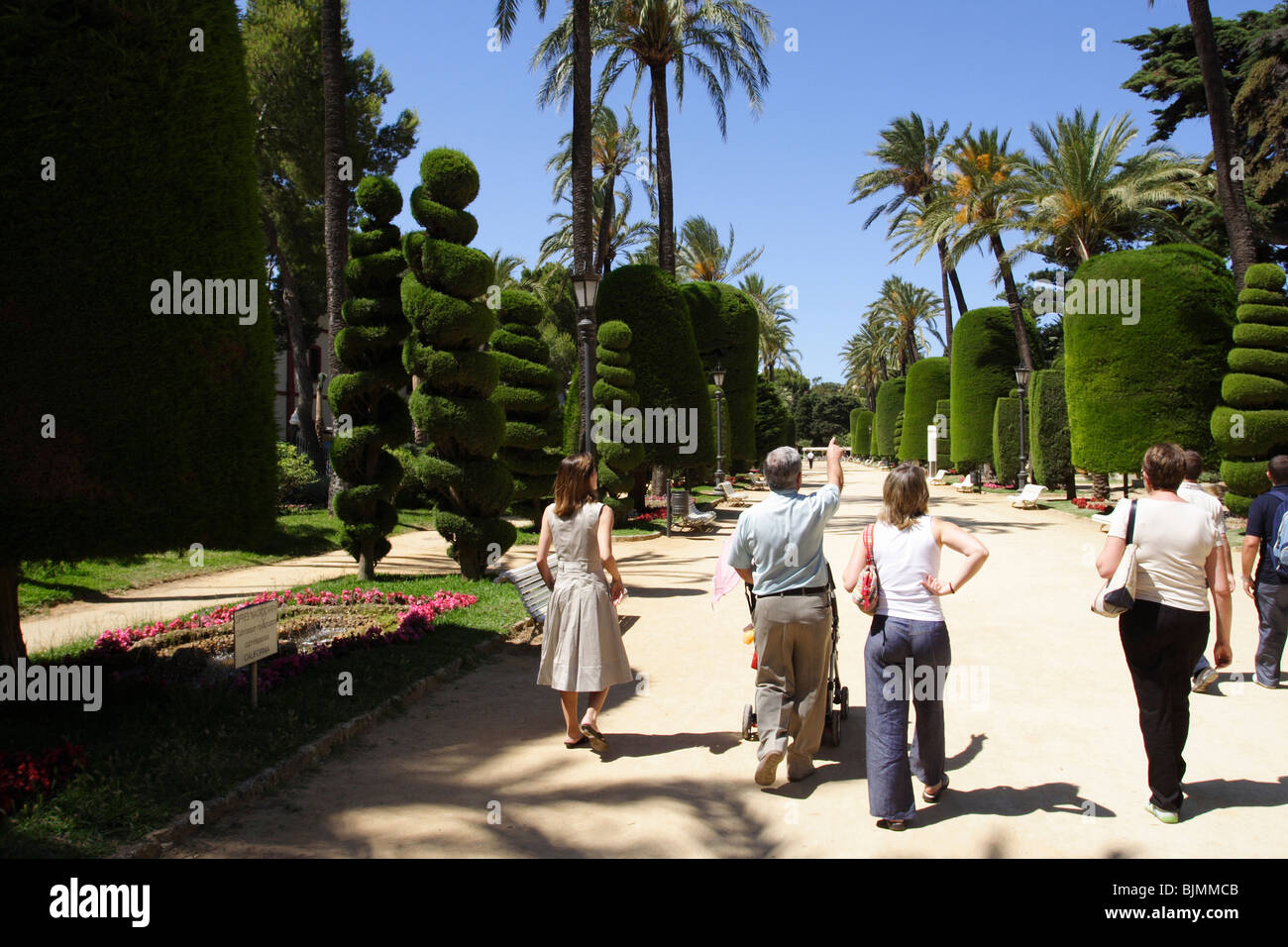 Parque Genoves, beautiful palm garden, Cadiz, Spain Stock Photo - Alamy