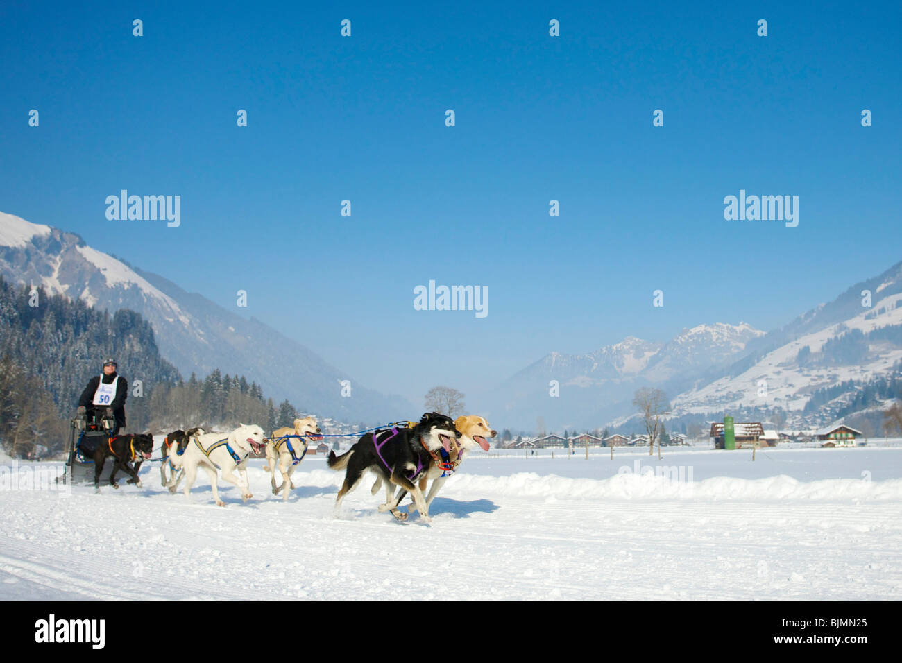 Siberian mountains winter hi-res stock photography and images - Alamy