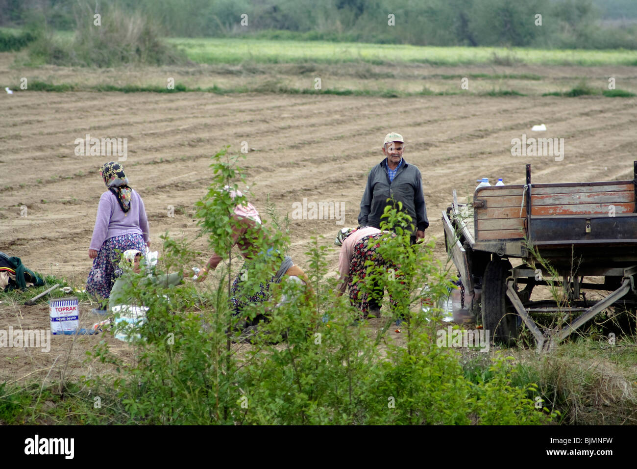 Turkey country farming hi-res stock photography and images - Alamy