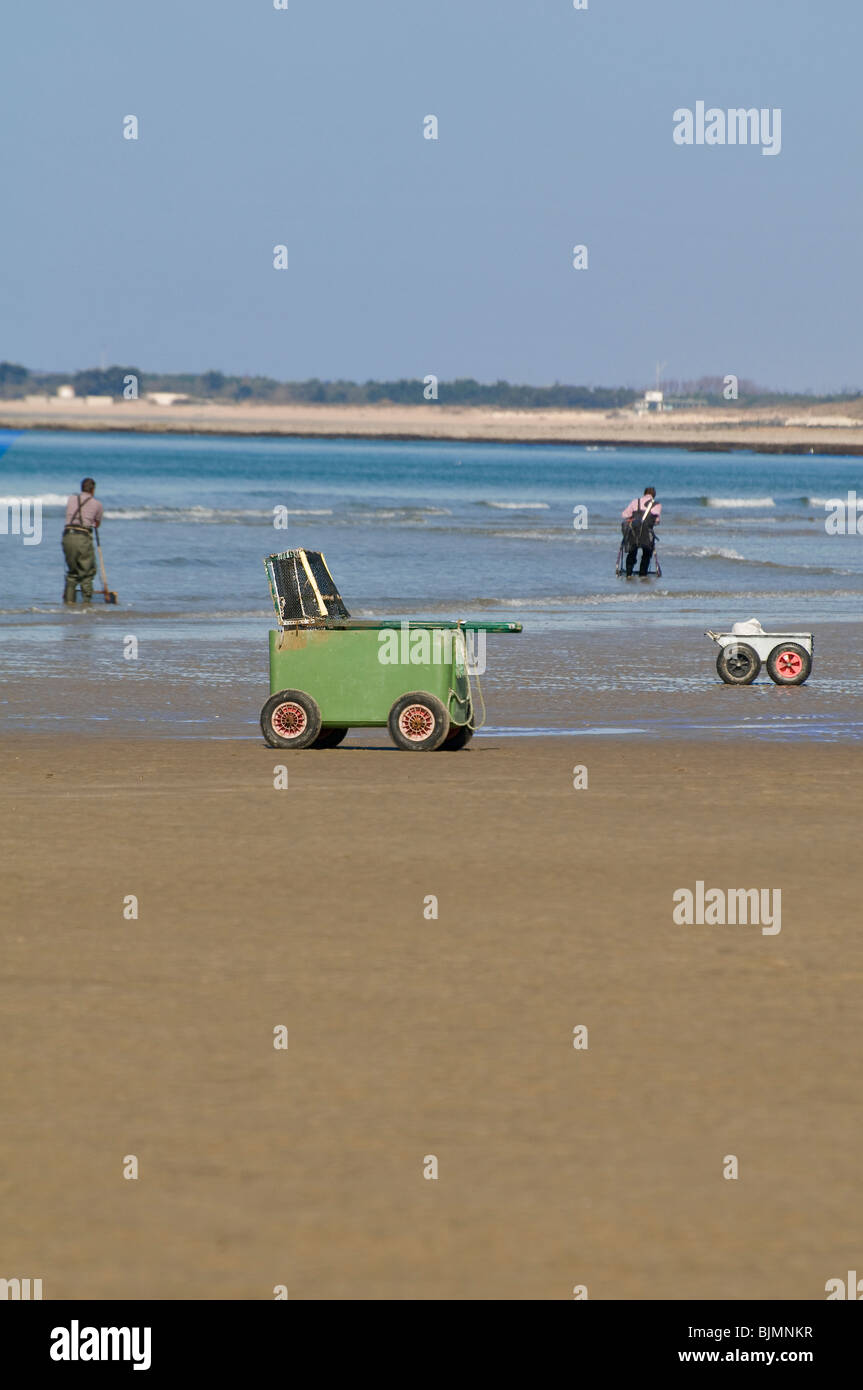 Professional gathering hi-res stock photography and images - Alamy