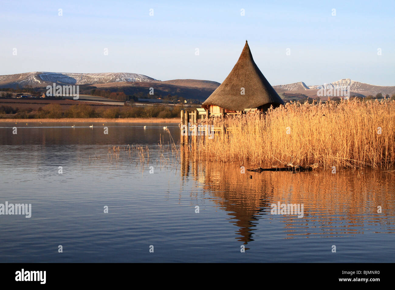 Crannog on Llangorse Lake, South Wales. An ancient artificial Island ...