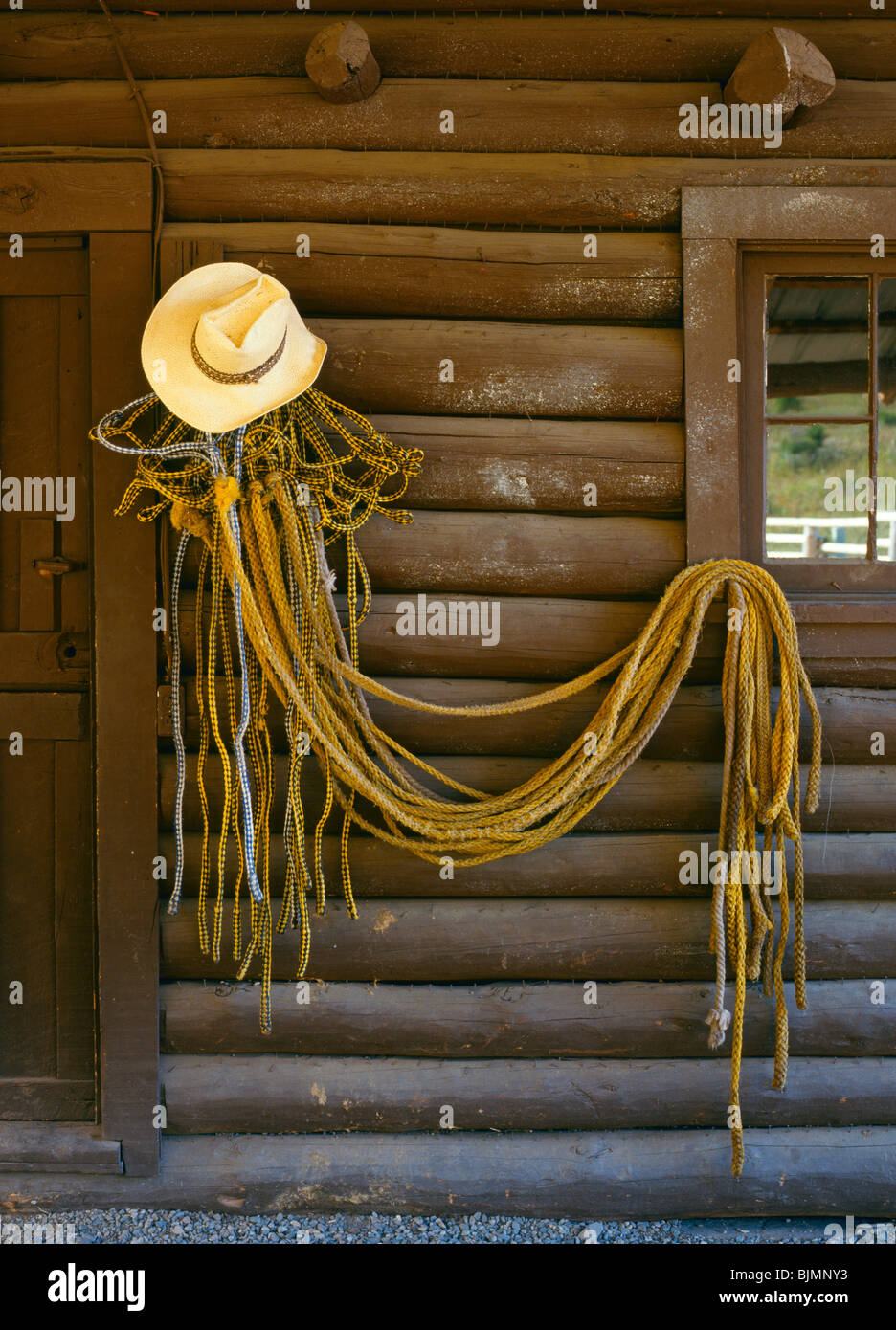 Straw cowboy hat and multiple halters and lead ropes hanging on a ranch ...