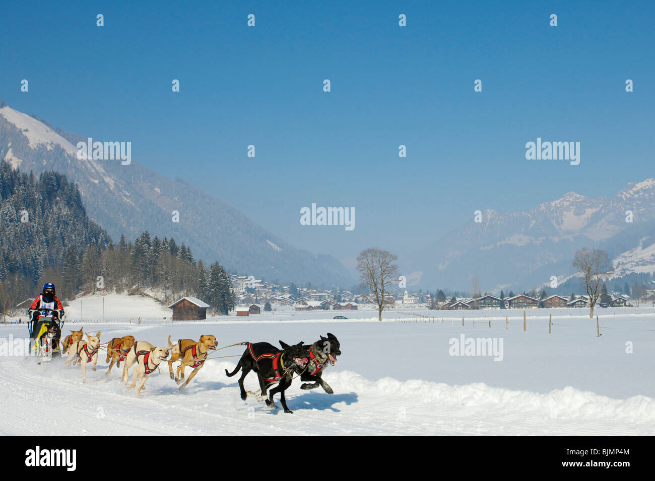 Alaskan backdrop hi-res stock photography and images - Alamy