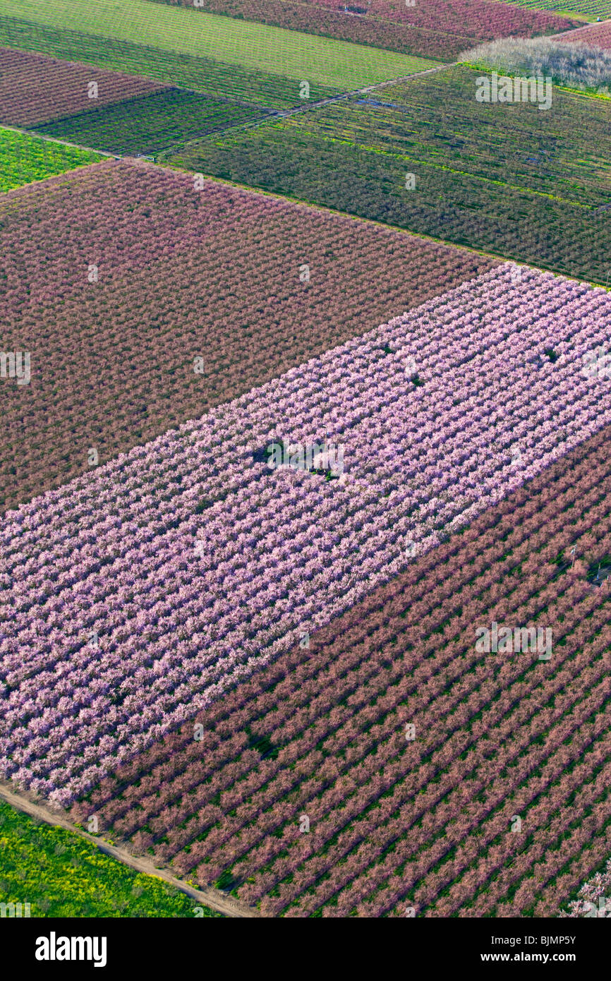 Sacramento city farm hi-res stock photography and images - Alamy