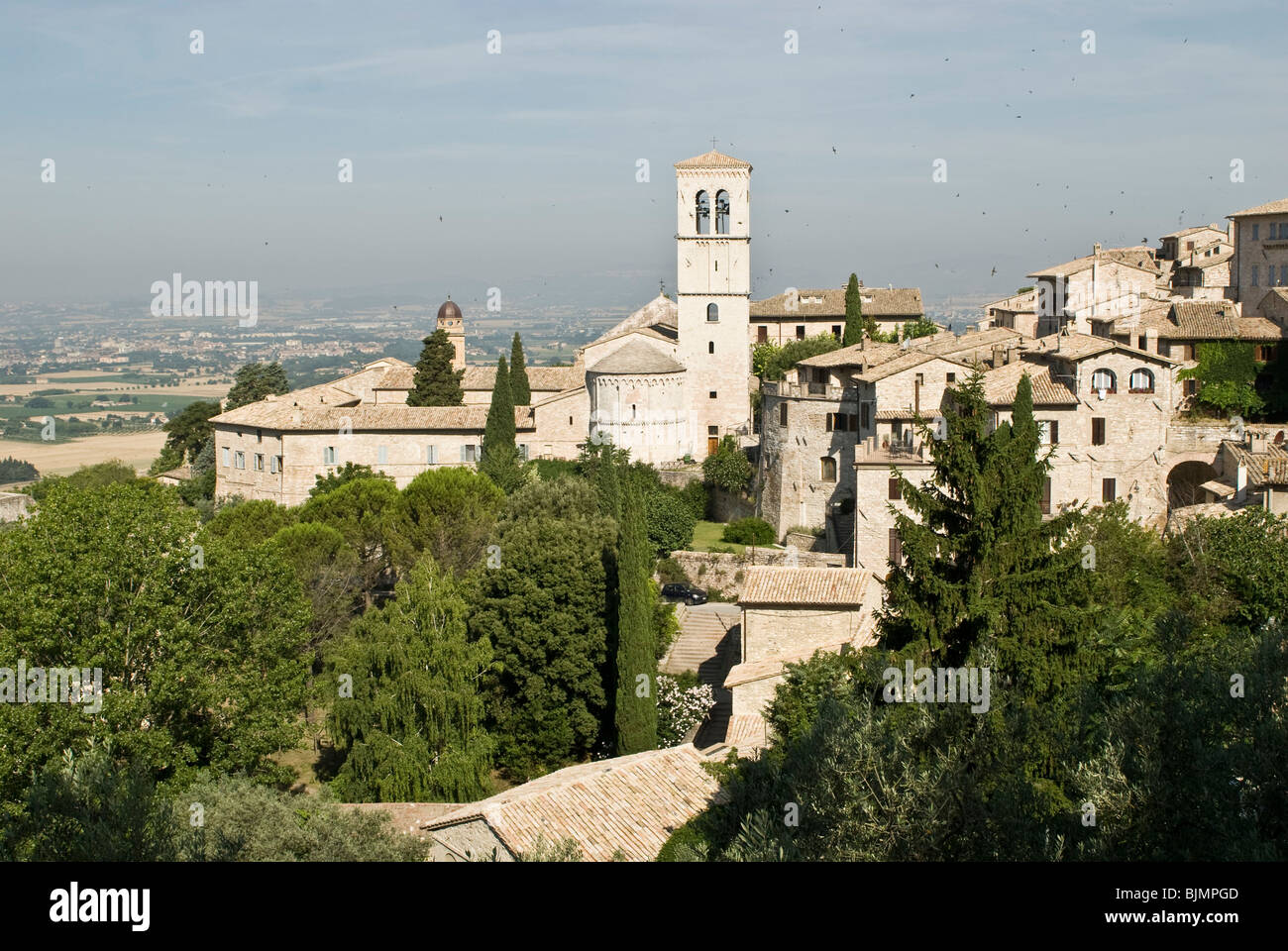 Santa maria maggiore assisi hi-res stock photography and images - Alamy