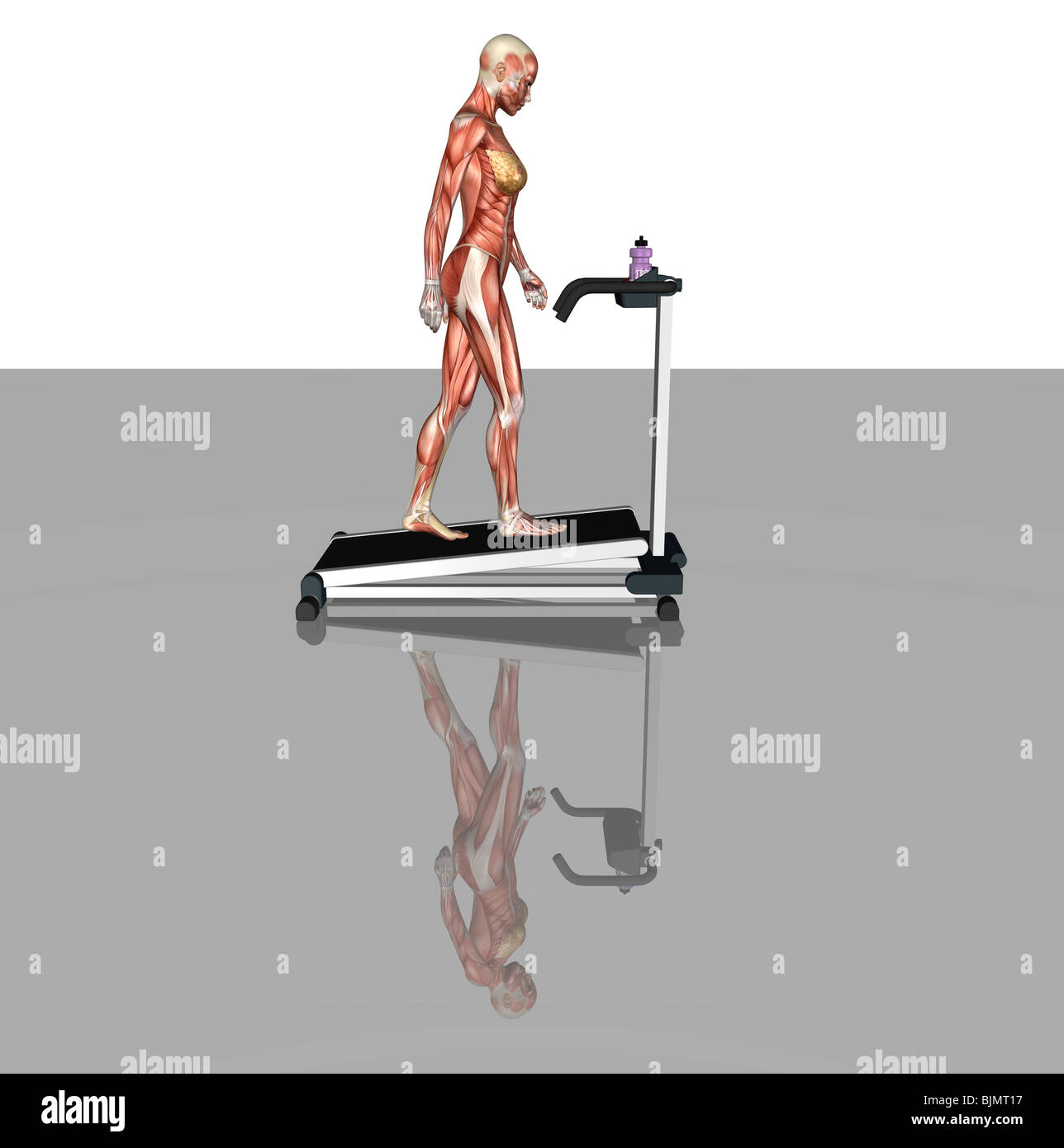 muscle woman as runner Stock Photo - Alamy