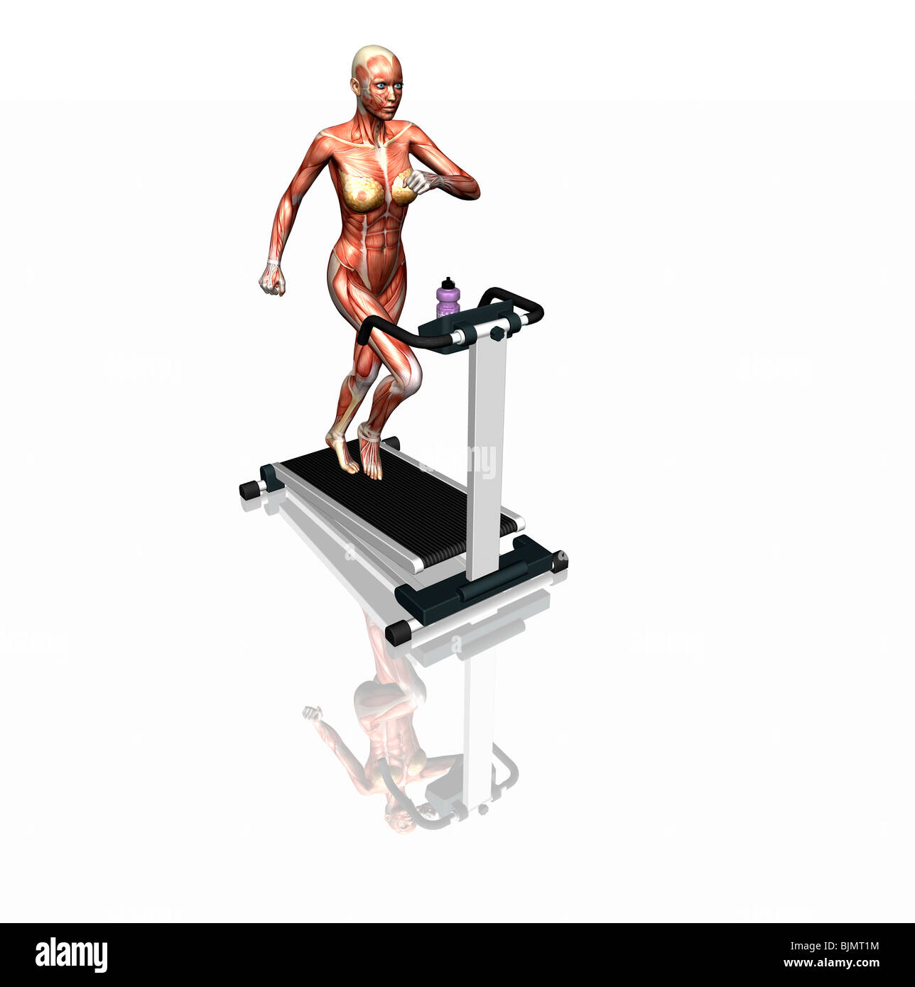muscle woman as runner Stock Photo - Alamy