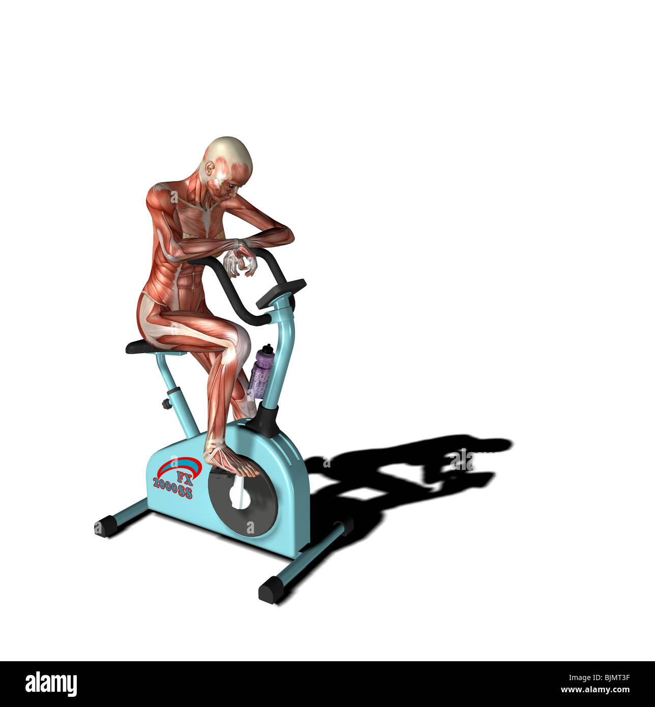 muscle woman on a bicycle trainer Stock Photo - Alamy