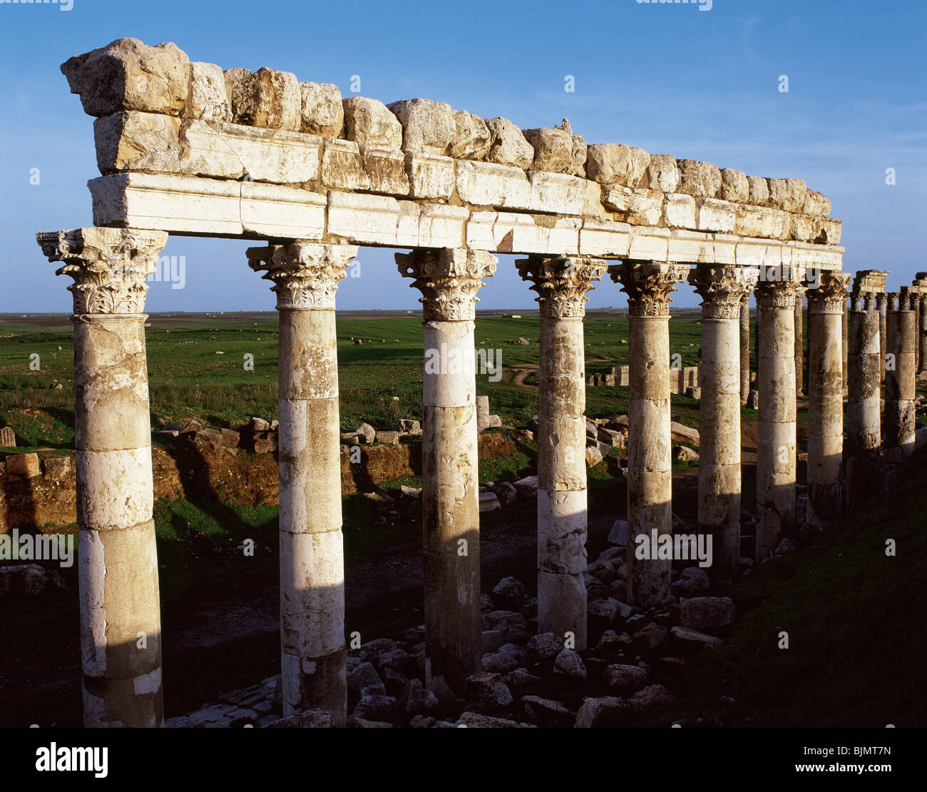 SYRIA. APAMEA (Afamia). Architrave of the colonnade in Cardo Maximus ...