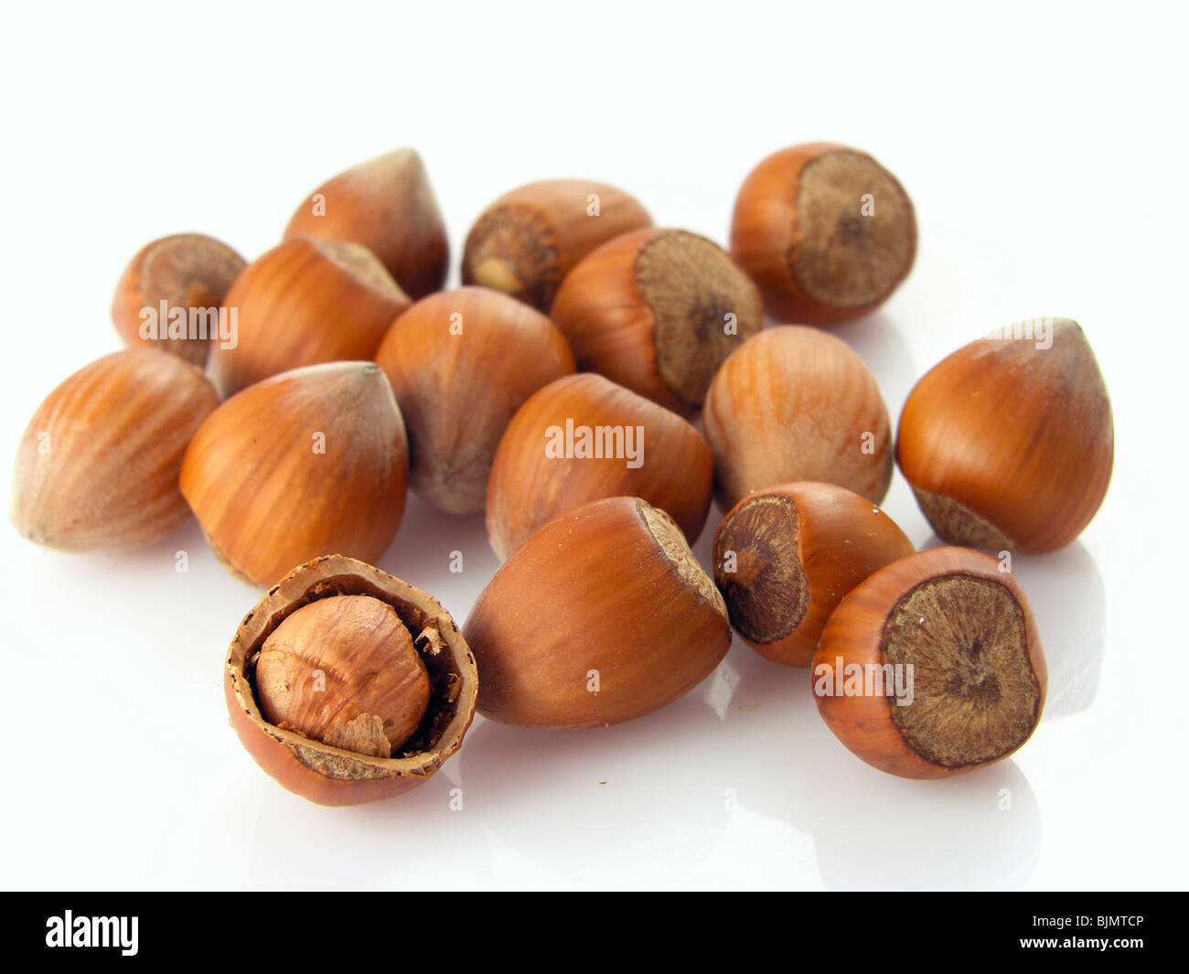 hazelnuts on a white background Stock Photo - Alamy