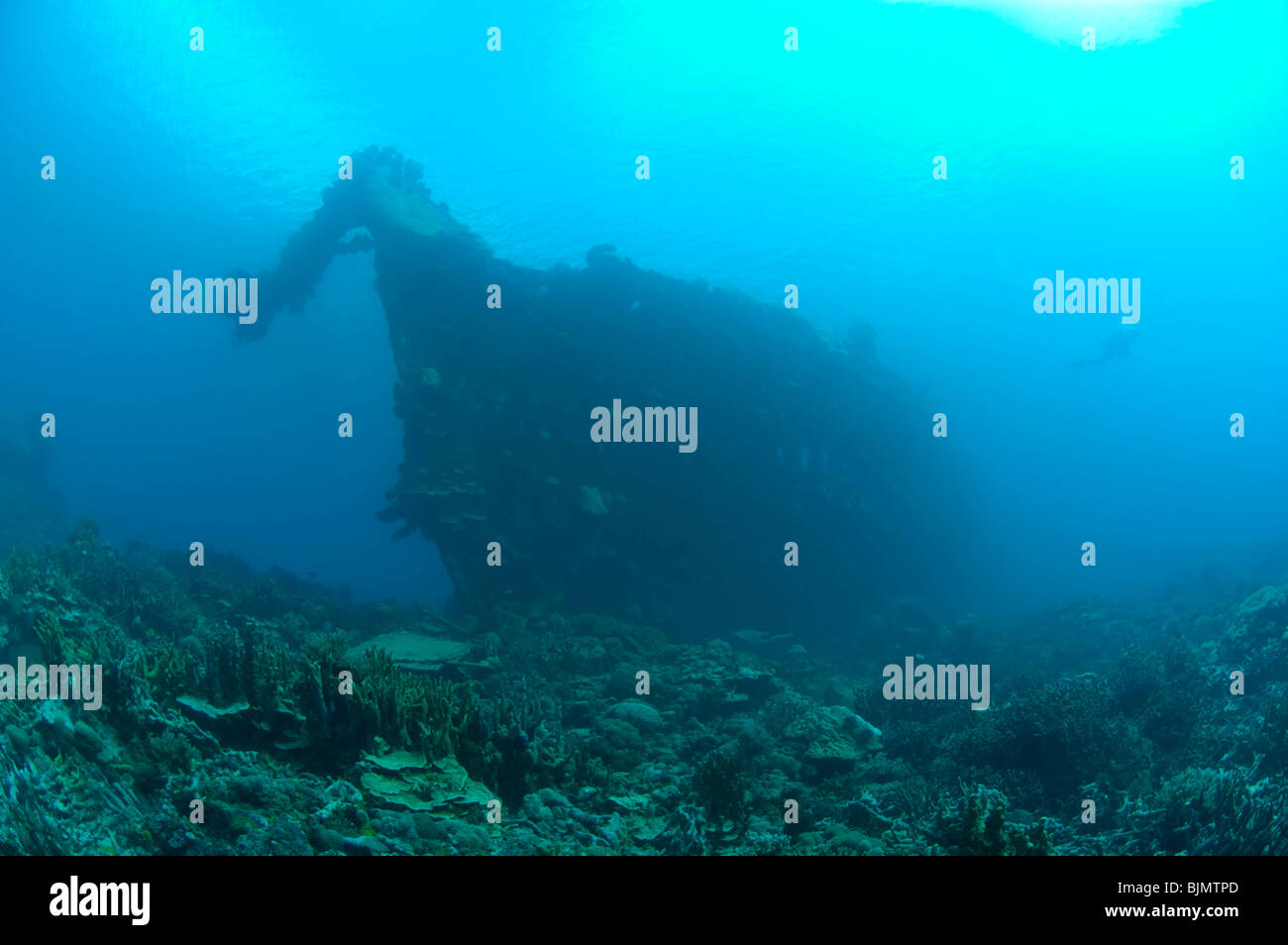 Wreck ship in chuuk hi-res stock photography and images - Alamy