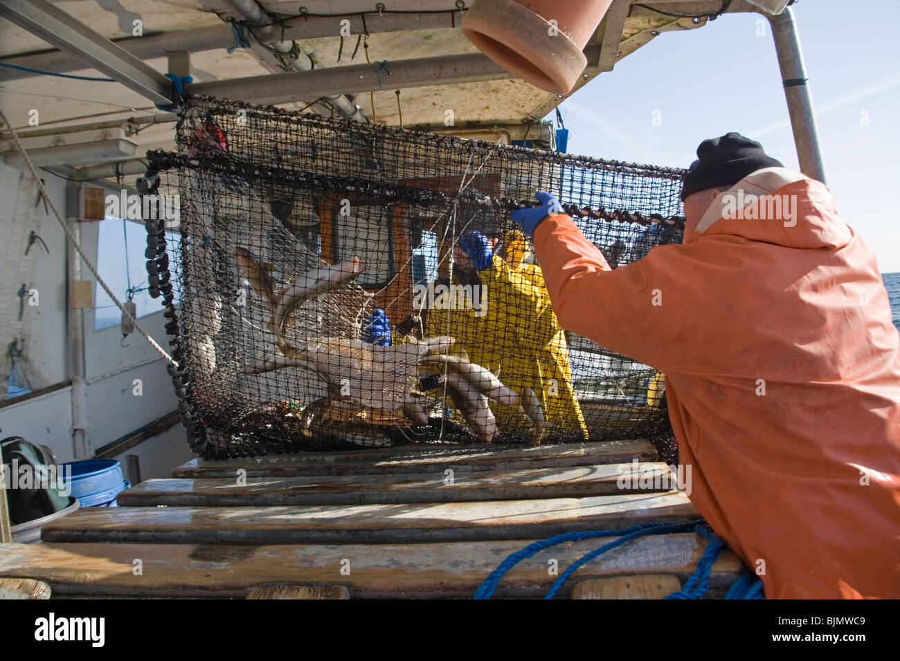 Fishing trawler cod hi-res stock photography and images - Alamy