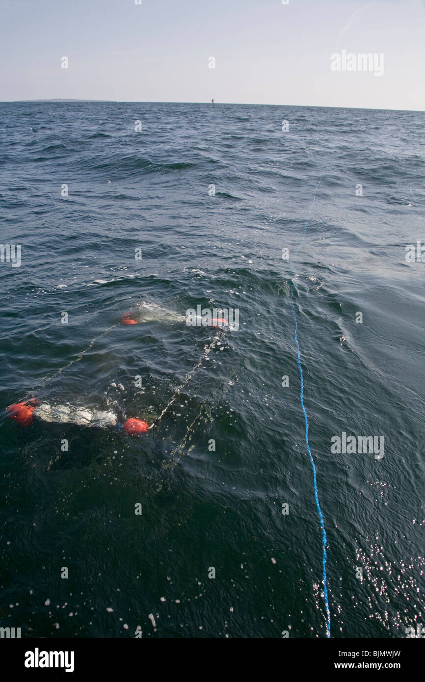 Professional fishing hi-res stock photography and images - Alamy