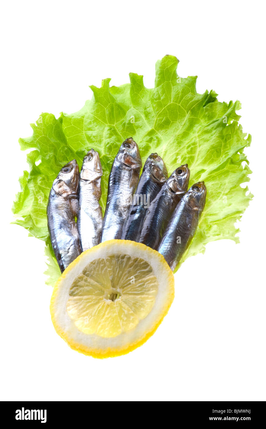 Sprat hi-res stock photography and images - Alamy