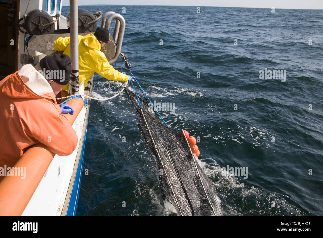 Baltic Sea Cod Fishing High Resolution Stock Photography and Images - Alamy