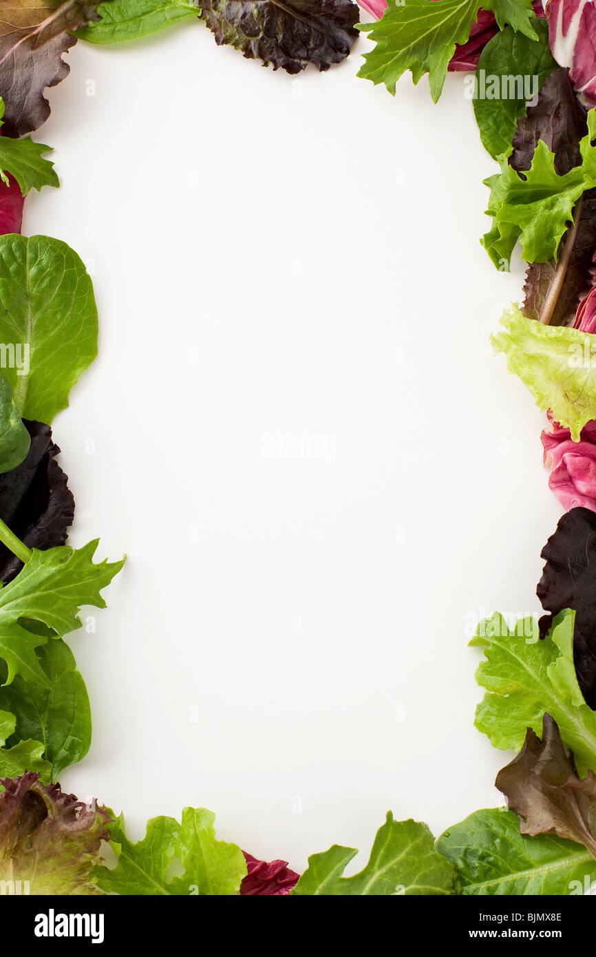 Decorative border hi-res stock photography and images - Alamy