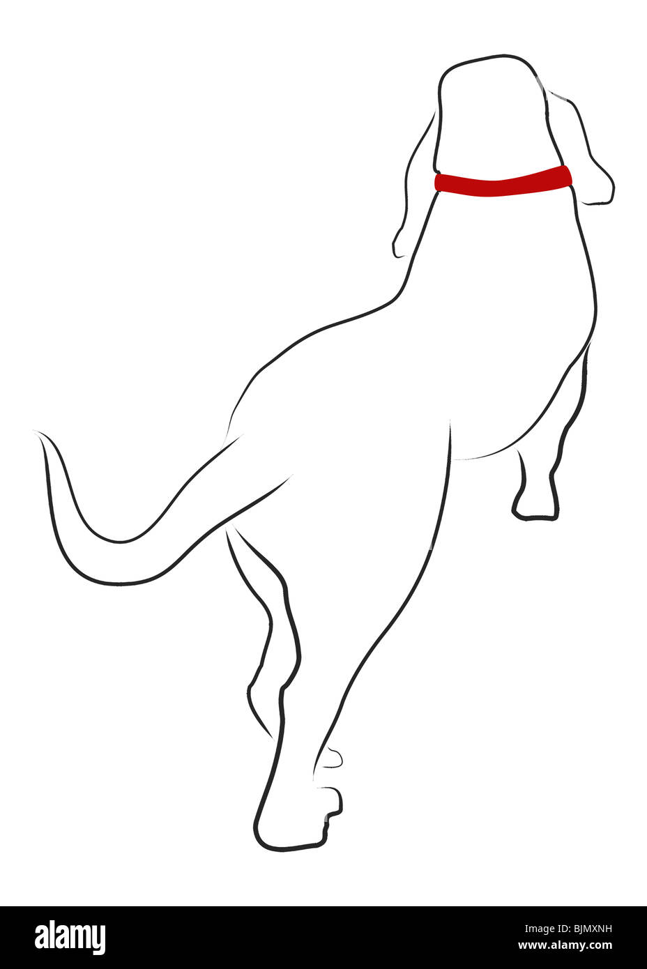 Dog Walking Away Drawing