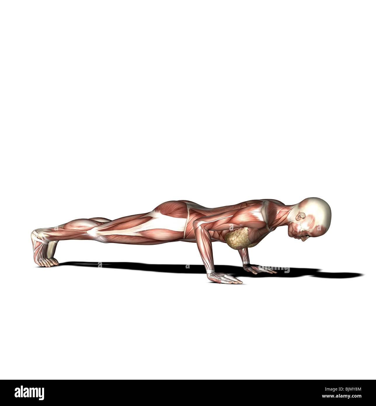 yoga practice four limb staff Stock Photo - Alamy