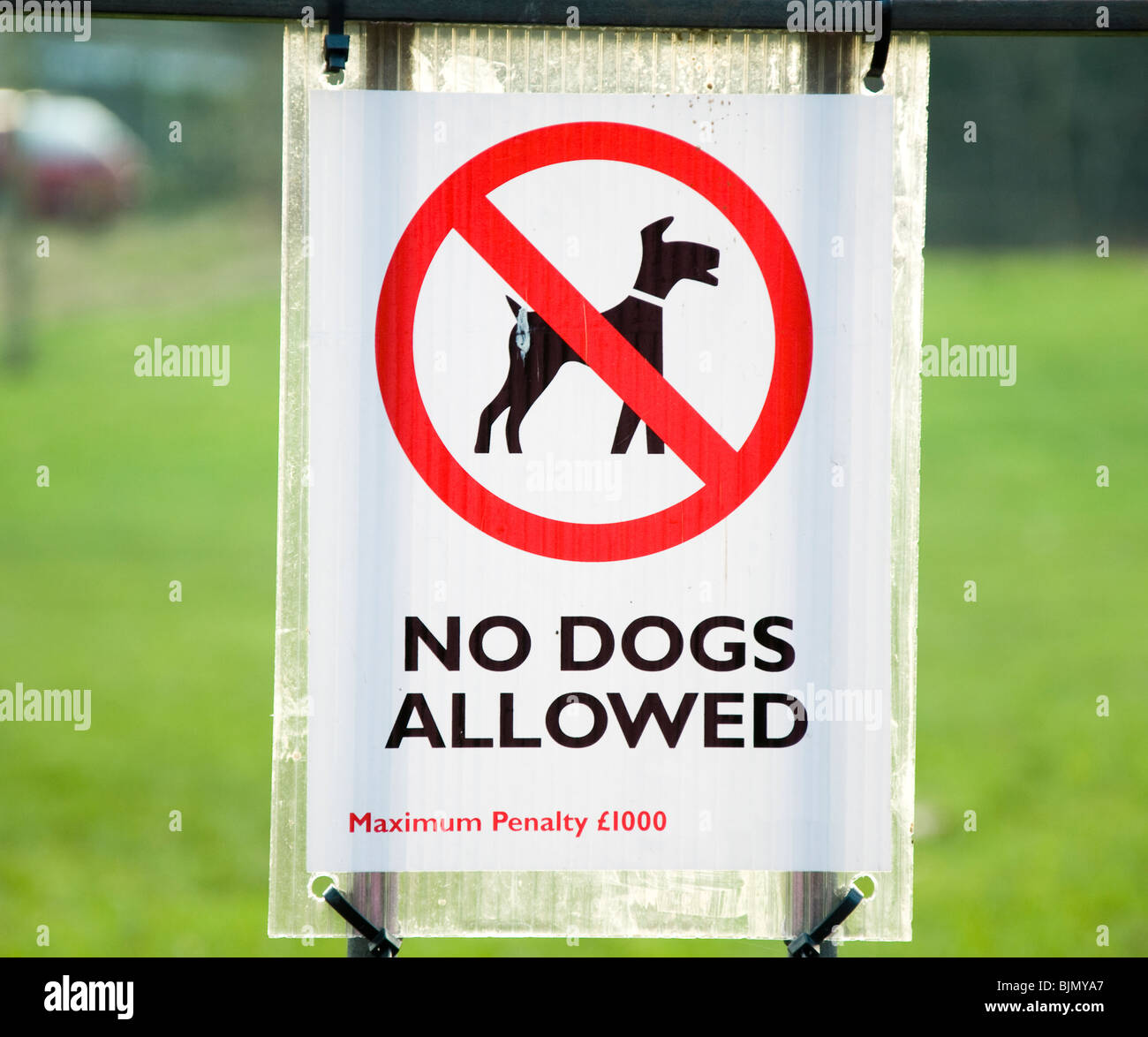 No dog allowed hi-res stock photography and images - Alamy