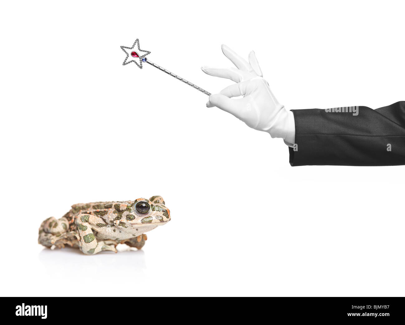 Magician holding a magic wand and a frog Stock Photo - Alamy