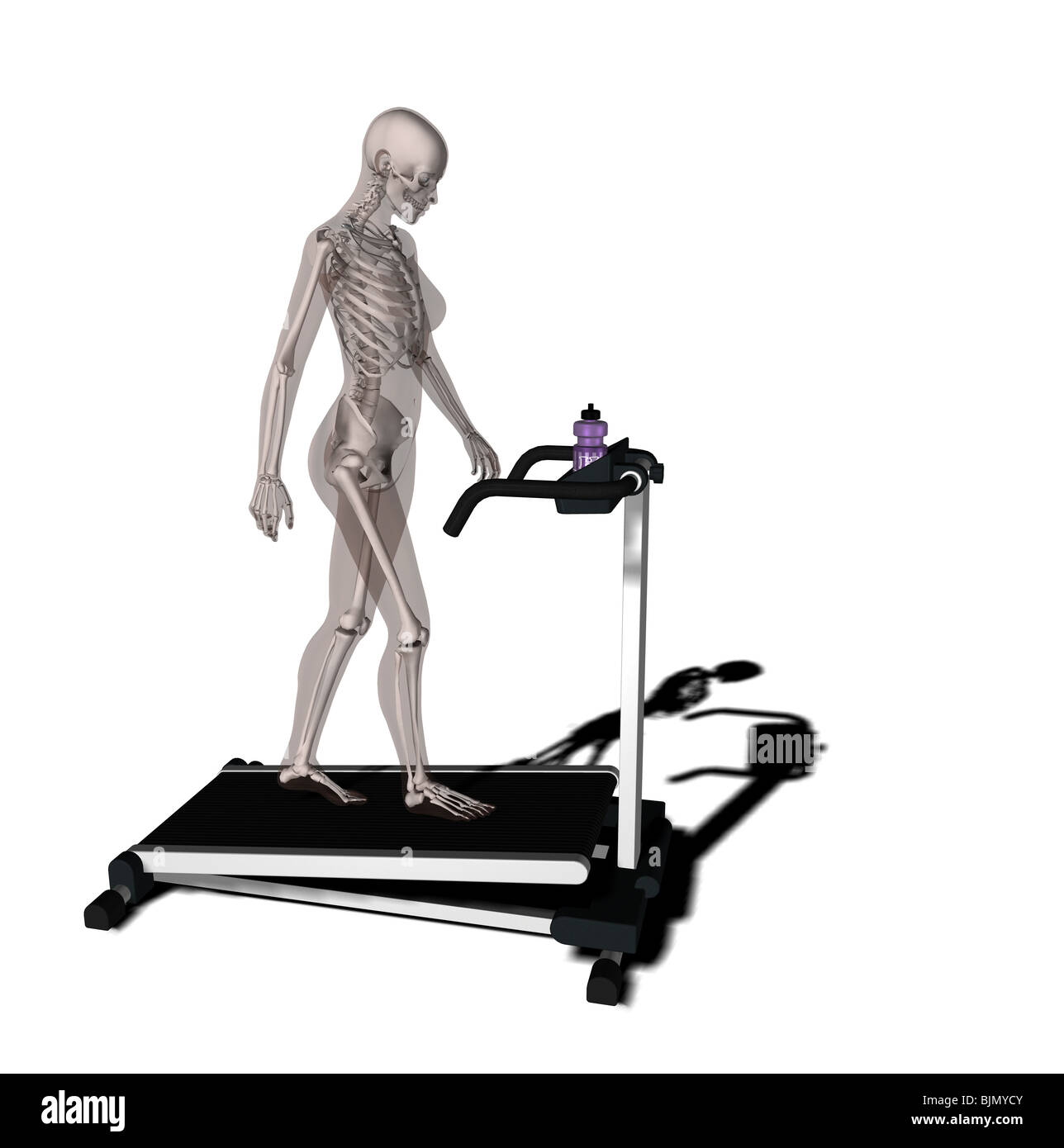 muscle woman with visible skeleton as runner Stock Photo - Alamy