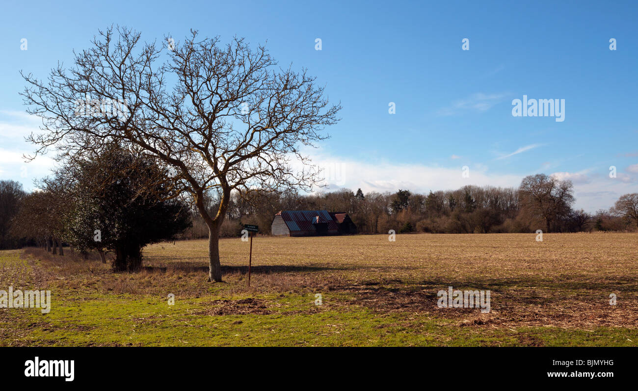 Chiltern landscape in oxfordshire hi-res stock photography and images ...