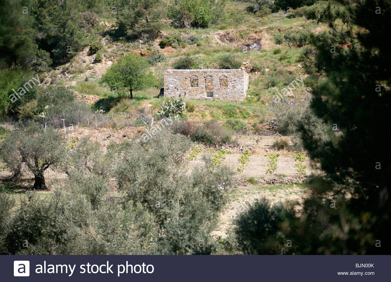 Ancient Greece Farm High Resolution Stock Photography and Images - Alamy