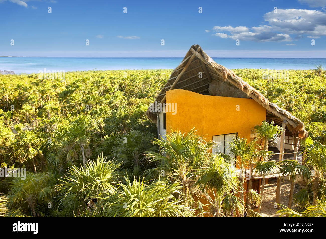 beautiful high view caribbean jungle and beach Stock Photo - Alamy