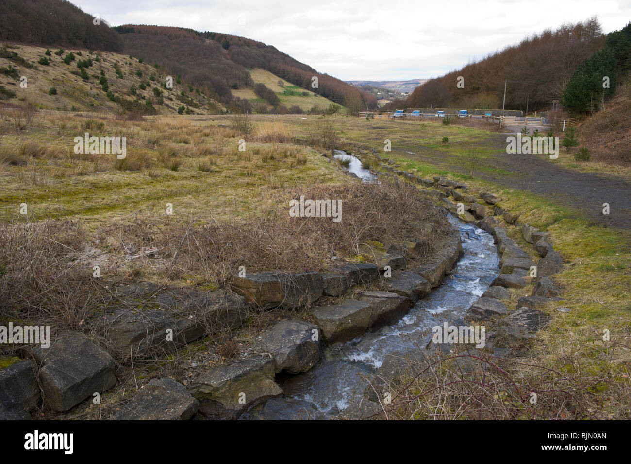 Tirpentwys Local Nature Reserve on reclaimed colliery and landfill site ...