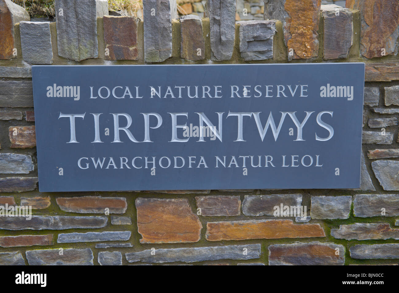 Tirpentwys Local Nature Reserve on reclaimed colliery and landfill site ...