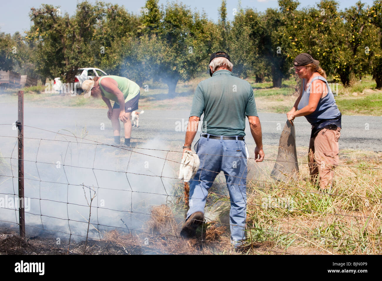 Volunteer fire fighters tackle a roadside fire near Shepperton ...