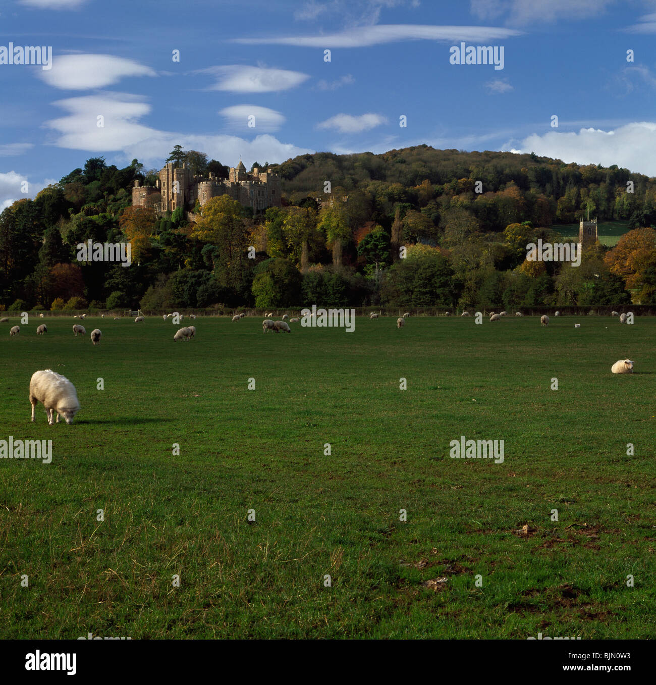 Minehead and dunster hi-res stock photography and images - Alamy