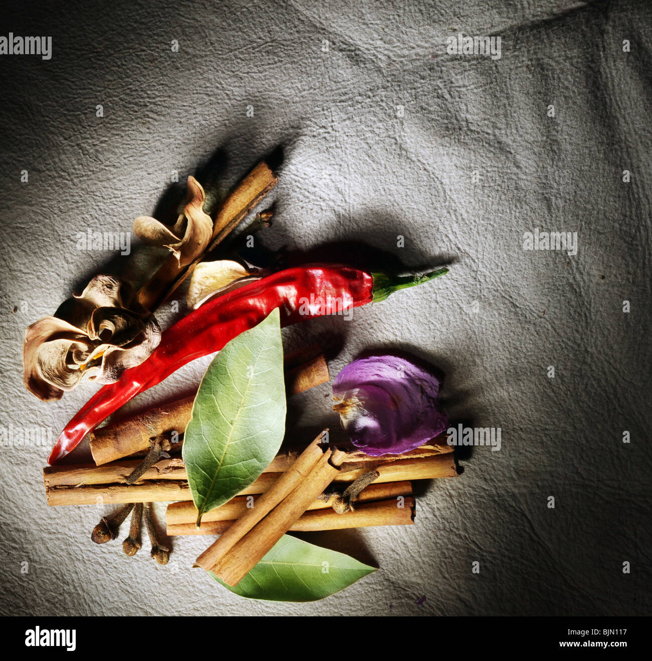 Texture background skins with dried spices Stock Photo - Alamy