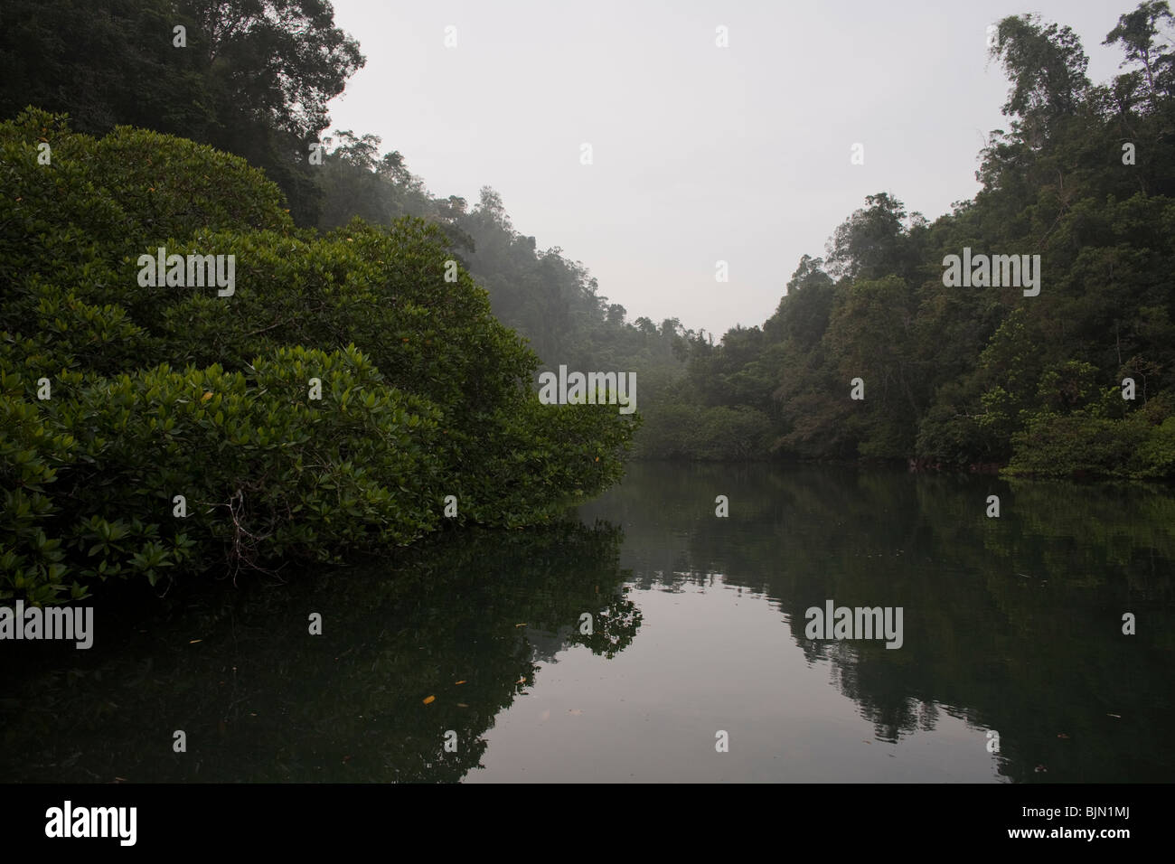Myanmar, South East Asia, a typical forest river Stock Photo - Alamy