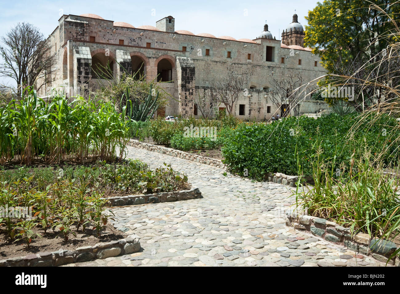 Pre columbian cultures hi-res stock photography and images - Alamy