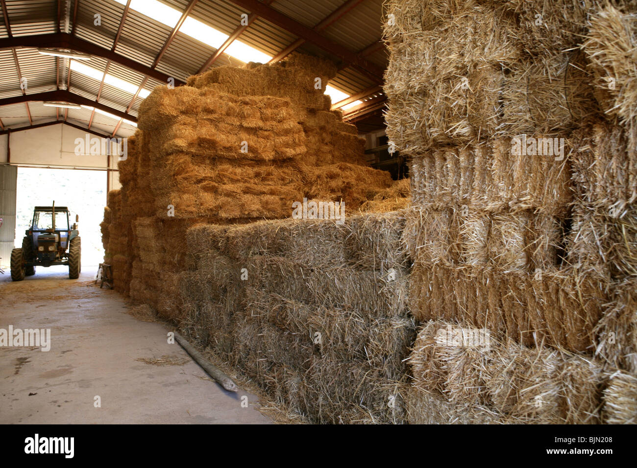 Straw golden bale barn stacked, perspective with tractor Stock Photo ...