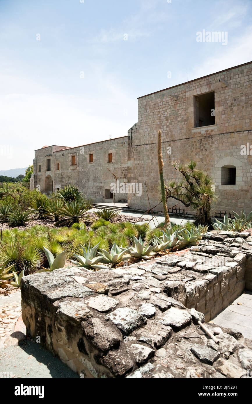 Indigenous plant garden hi-res stock photography and images - Alamy