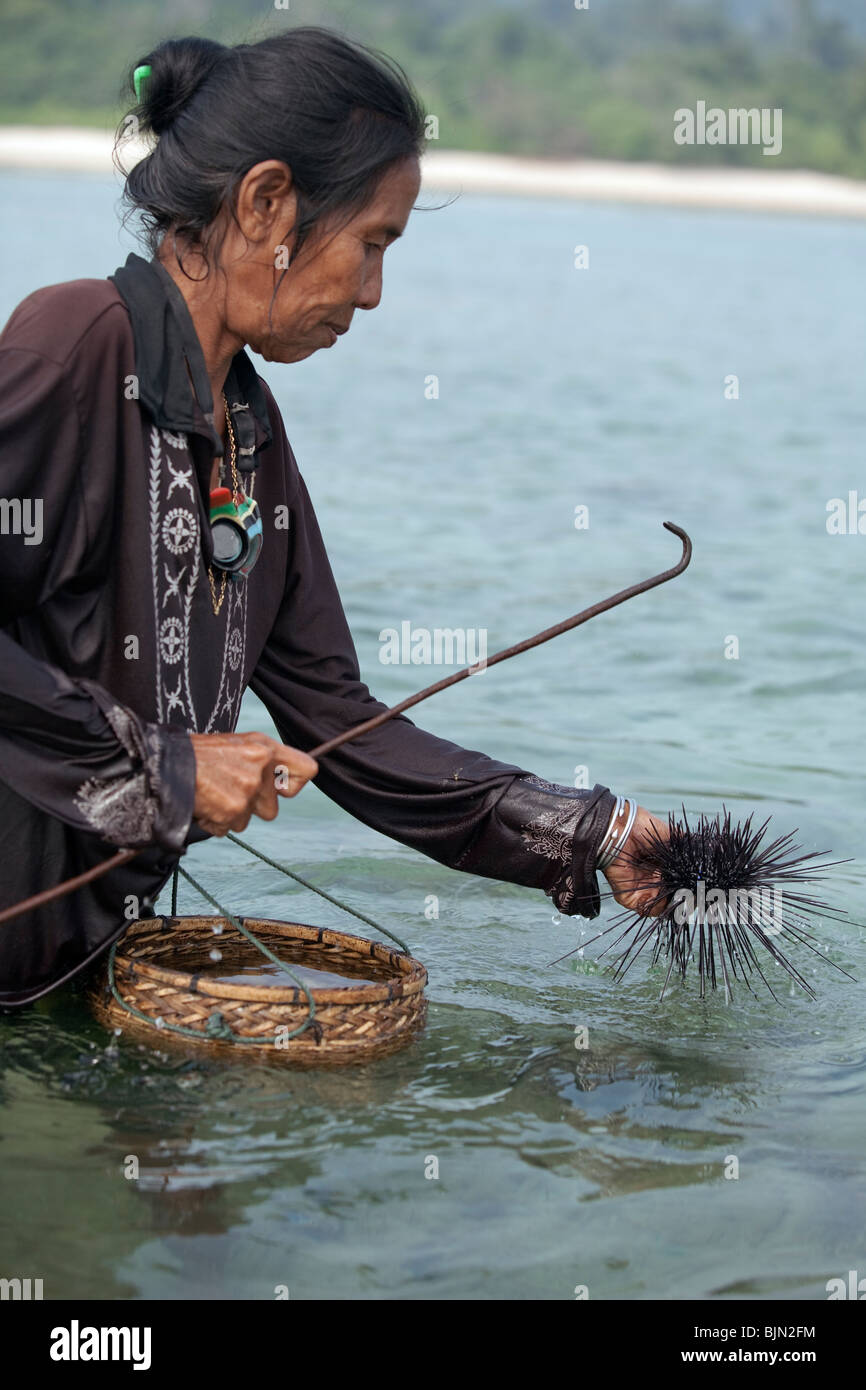 Gypsy basket hi-res stock photography and images - Alamy