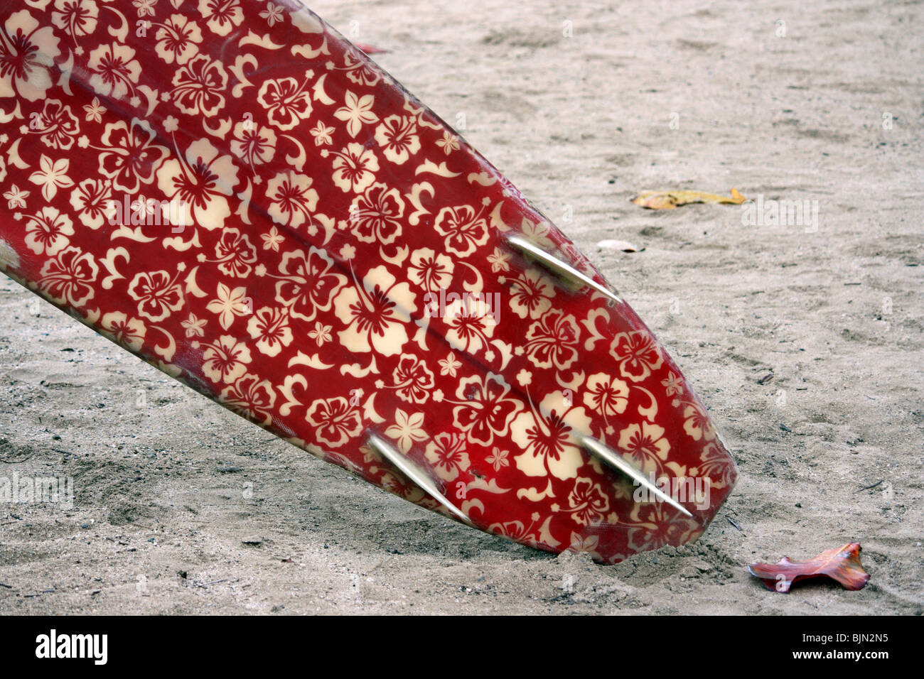 BACK HALF OF A RED AND WHITE FLORAL SURFBOARD WAIKIKI BEACH HAWAII ...