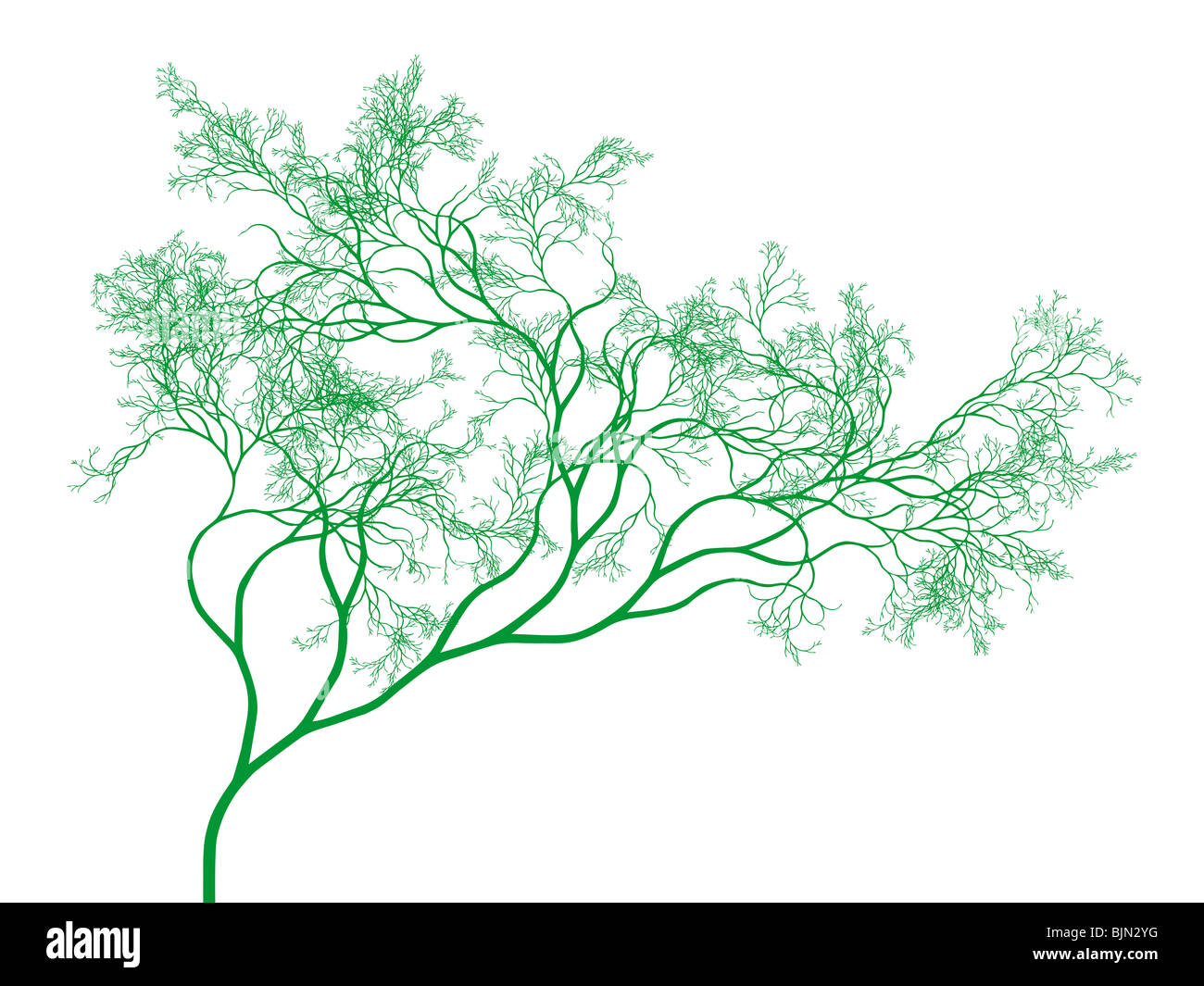 detailed green tree Stock Photo - Alamy