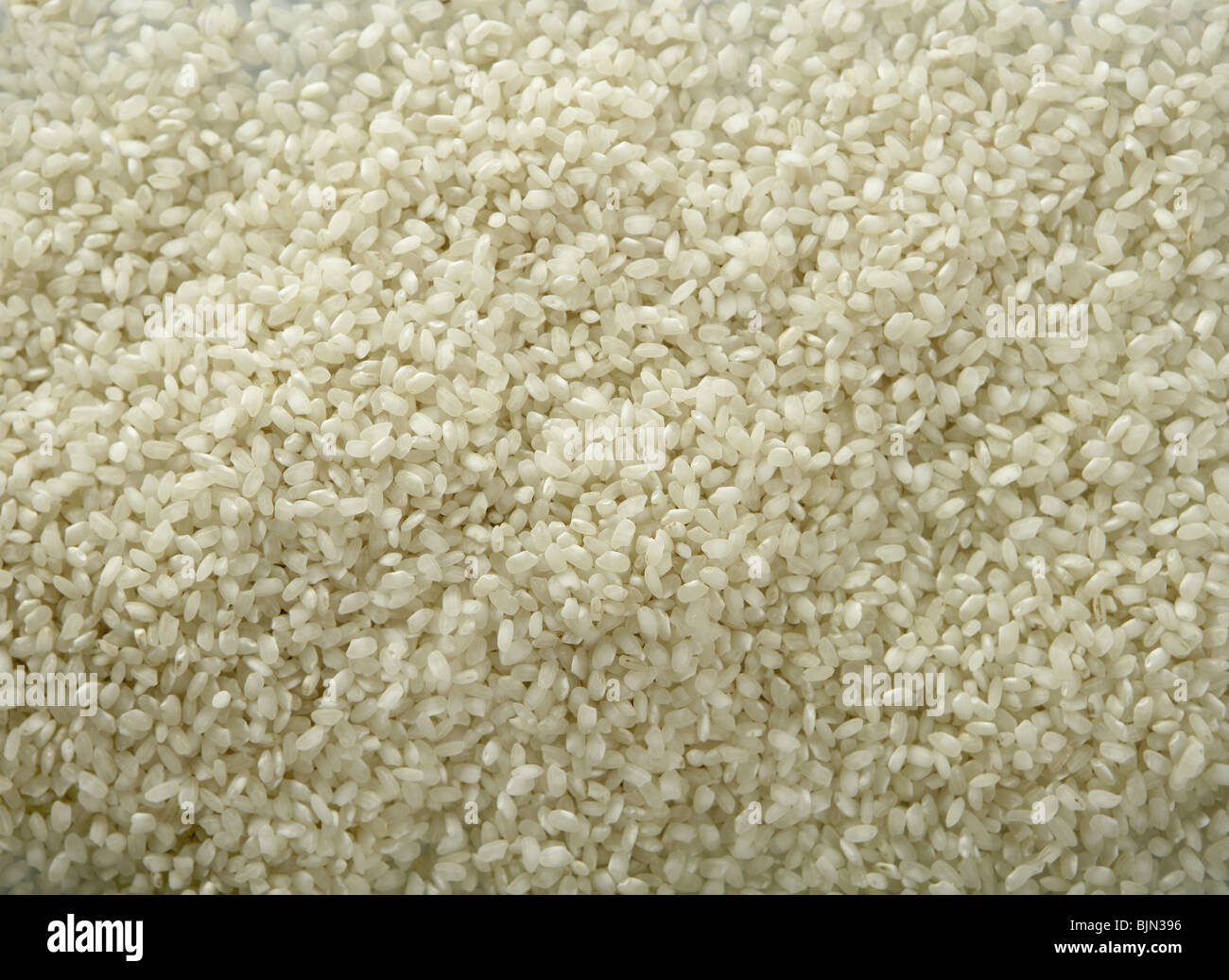 White rice close up texture. Background pattern of rice seeds from ...