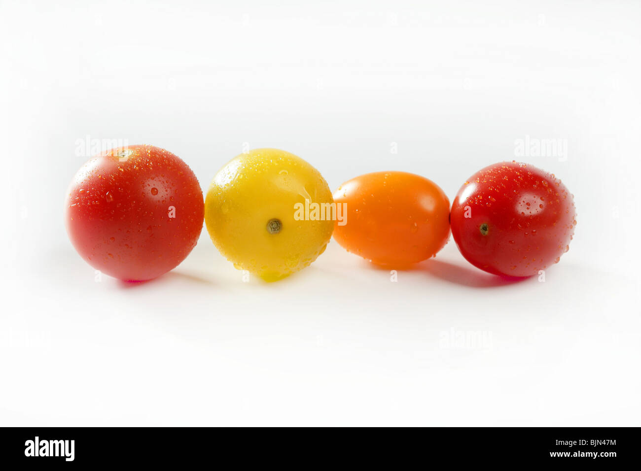 Little cherry varied multi color tomatoes, at studio, white background ...