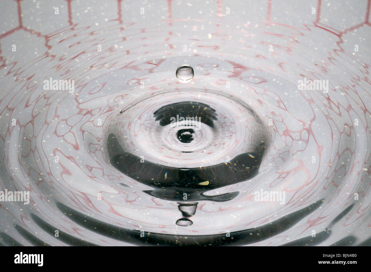 A droplet of water falling into a puddle and creating ripples Stock ...